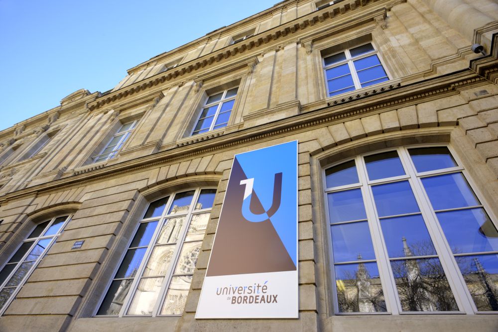 Bordeaux Summer Schools - Bordeaux Summer School - Cardiac ...